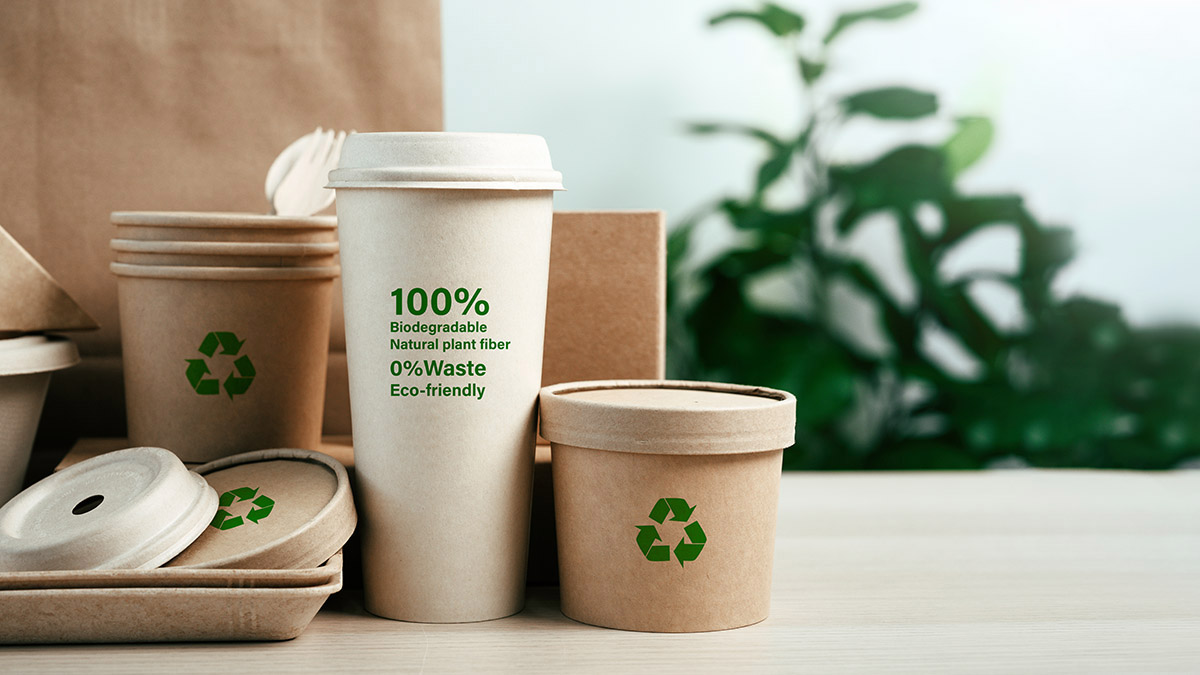 Why Do We Need Biodegradable Packaging Now?