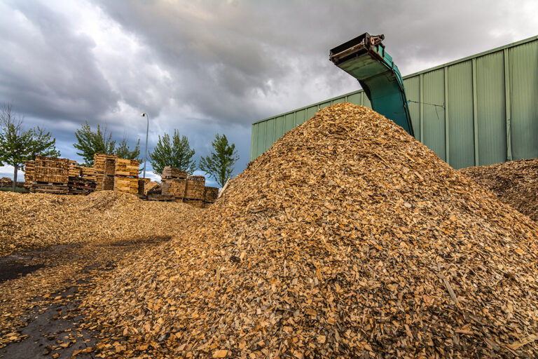 Is Wood Recyclable? Types Of Wood Can Be Recycled