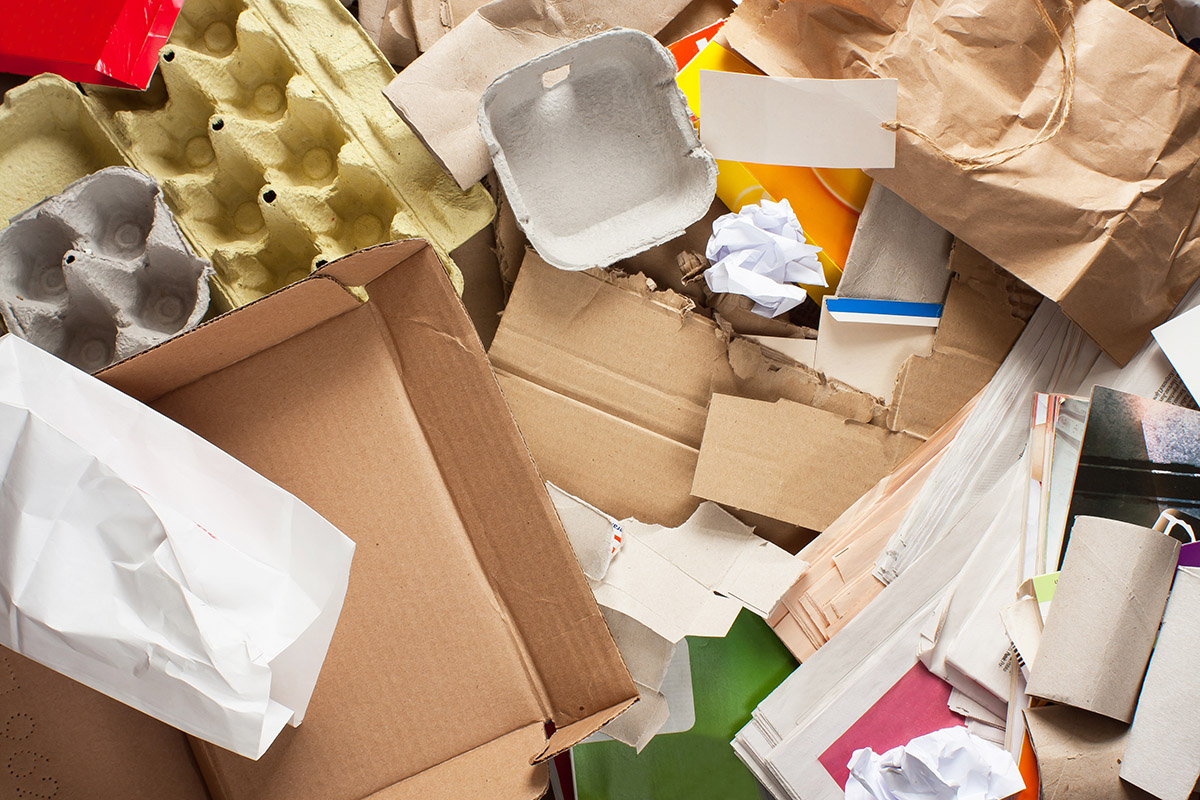 Is Paper Biodegradable & Compostable? Paper Waste Tips