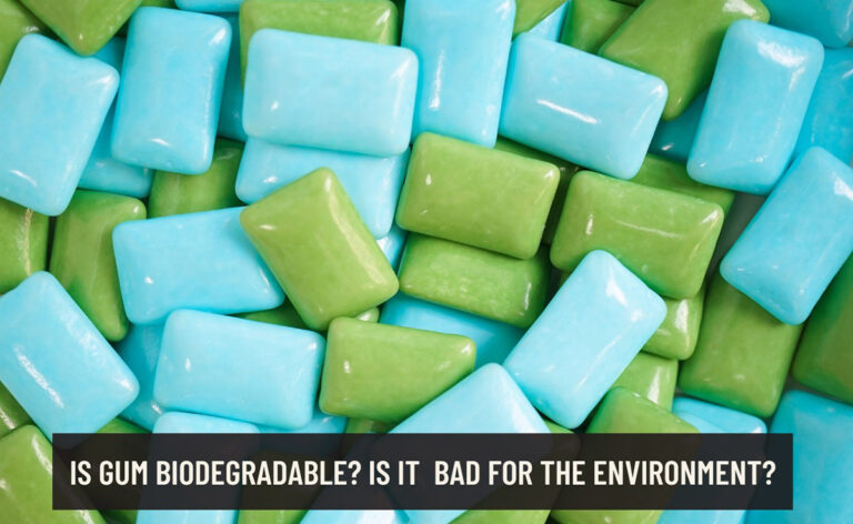 Is Gum Biodegradable? Gum's Decomposition Time