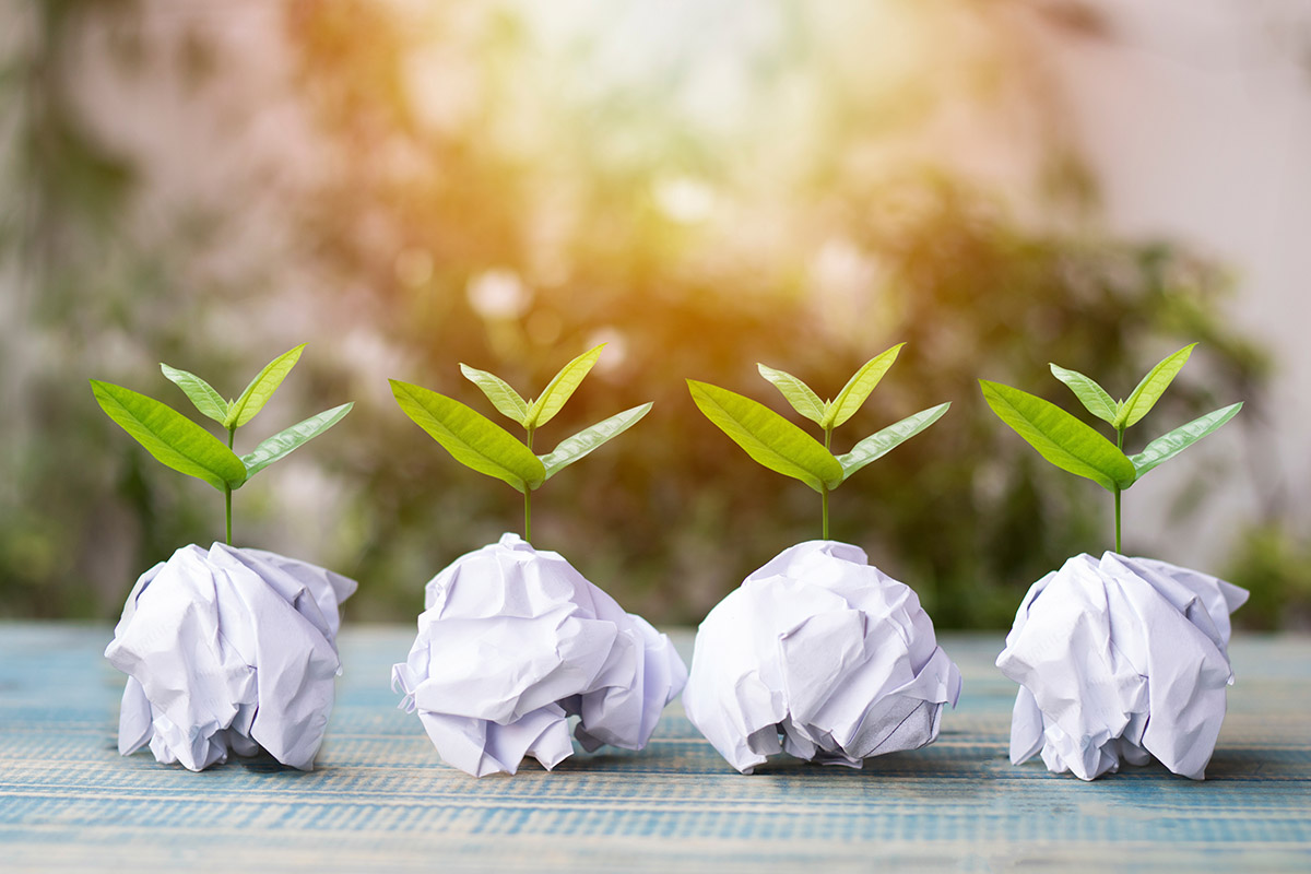 Is Paper Biodegradable & Compostable? Paper Waste Tips