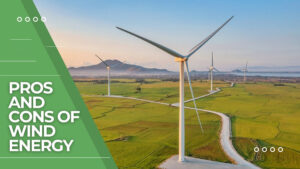 Pros And Cons Of Wind Energy: Is It An Endless Source?