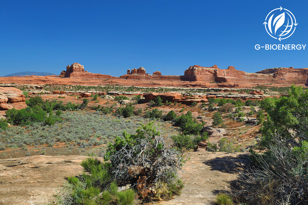 Tropical Rainforest Biome: Location, Climate & Biodiversity
