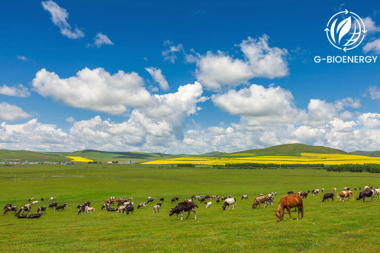 What Is A Biome? Definition, Types and Examples