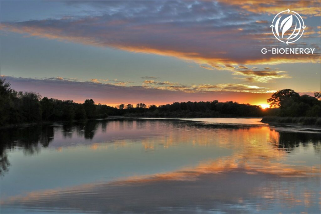 Freshwater Biome: Types, Location, Climate, Animals & Plants