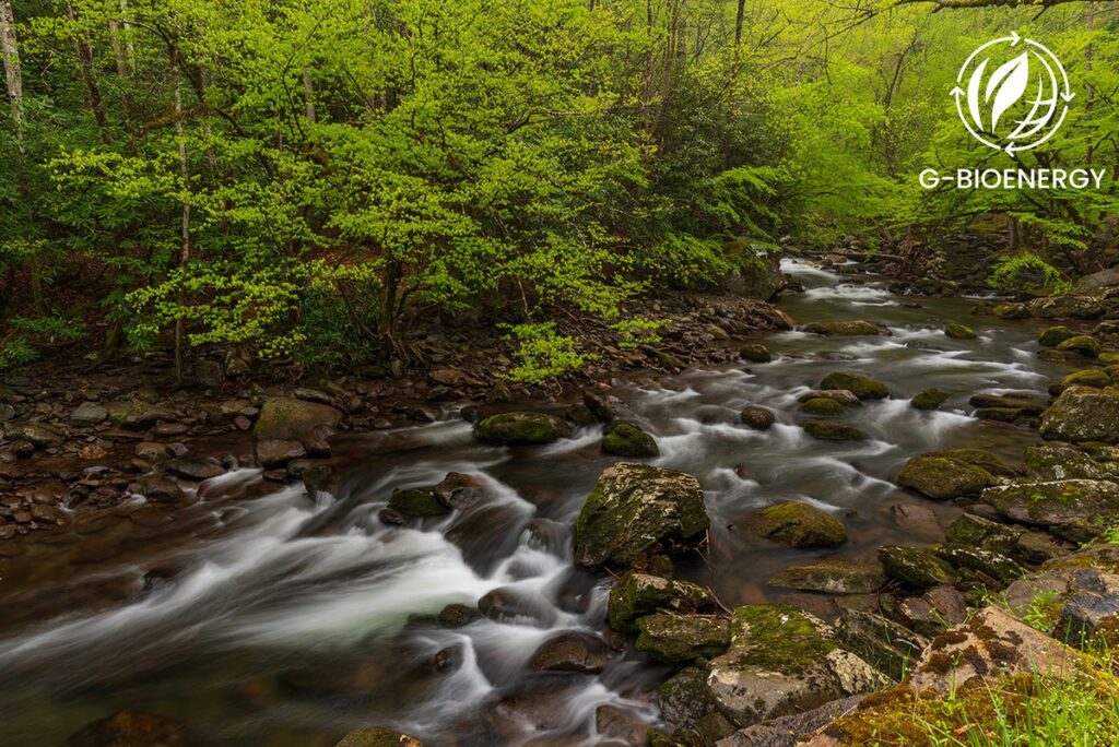 Freshwater Biome: Types, Location, Climate, Animals & Plants