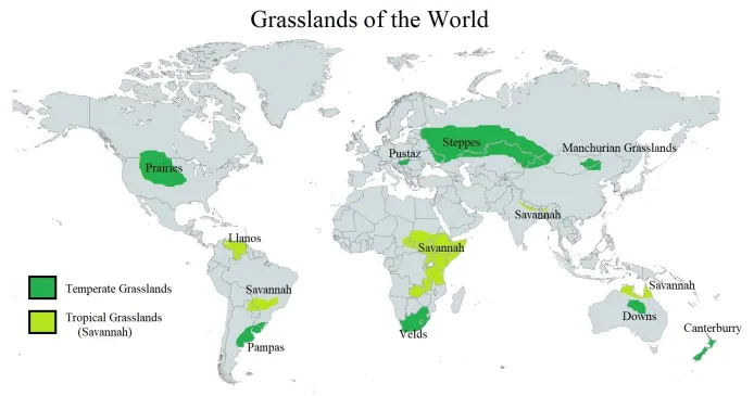 Temperate Grasslands Biome: Location, Climate, Plants...