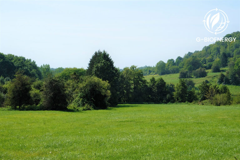 What Is A Biome? Definition, Types and Examples