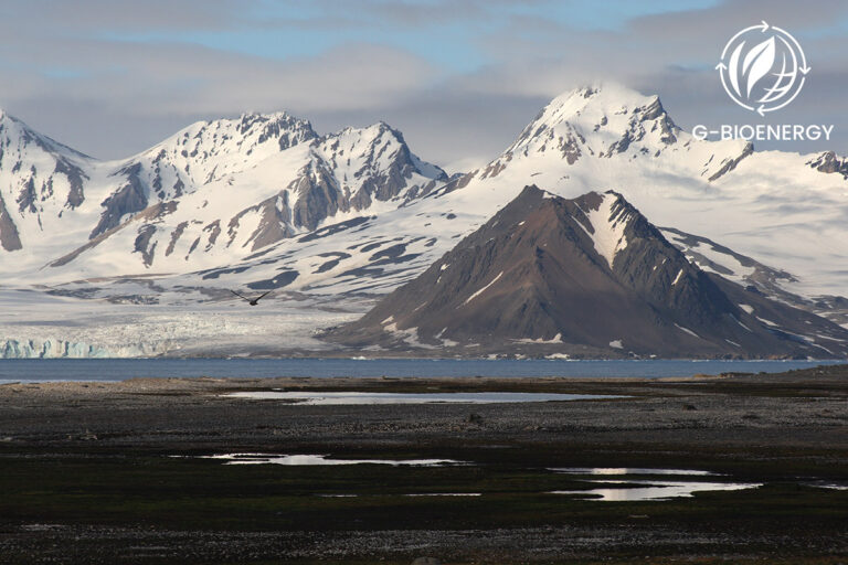What Is A Biome? Definition, Types and Examples