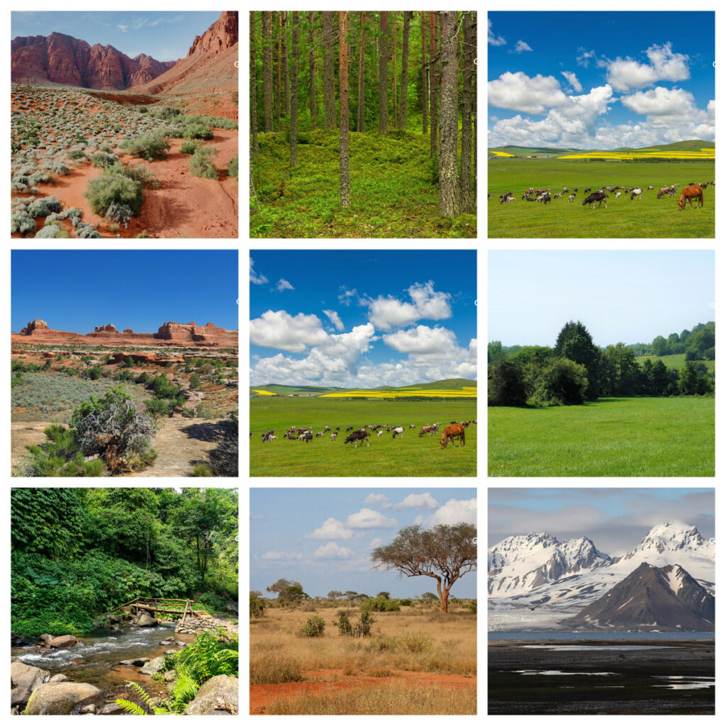 Savanna Biome: Types, Location, Climate, Plants, & Animals