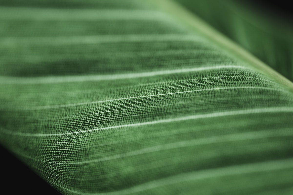 Eco-friendly food transport: sustainable solutions in logistics