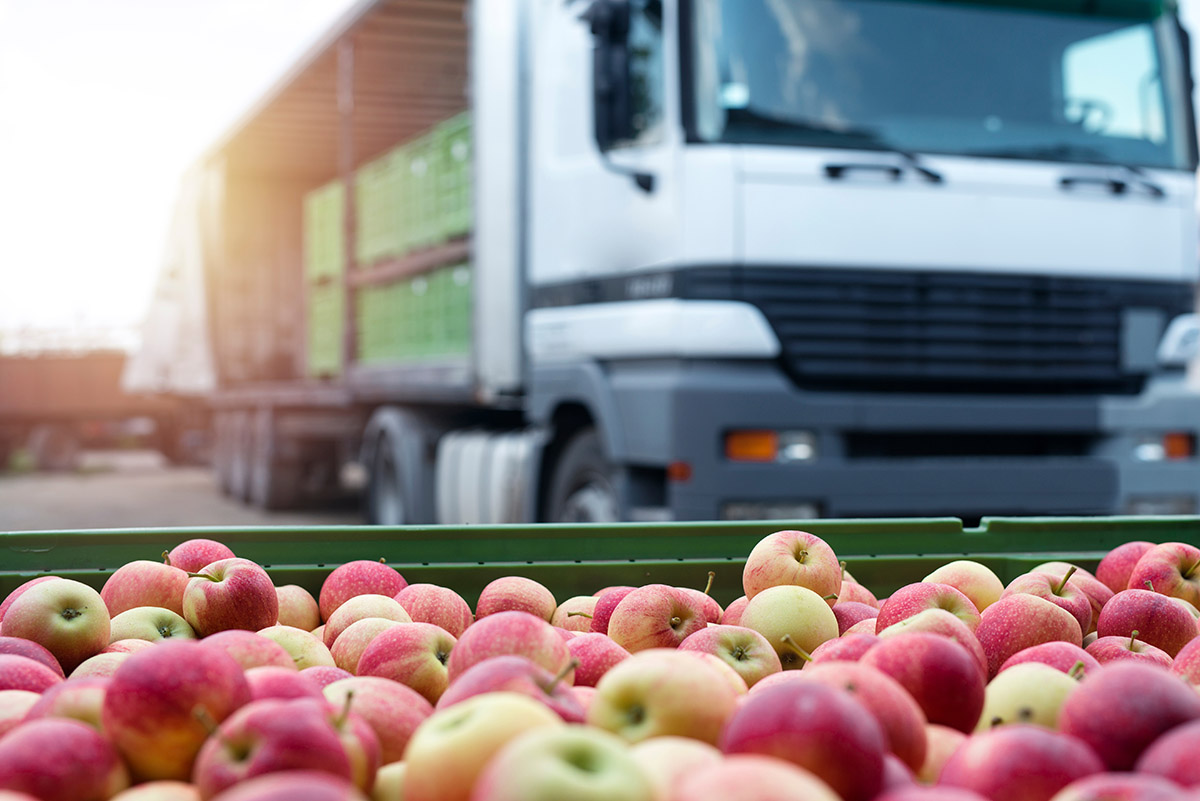 Eco-friendly food transport: sustainable solutions in logistics