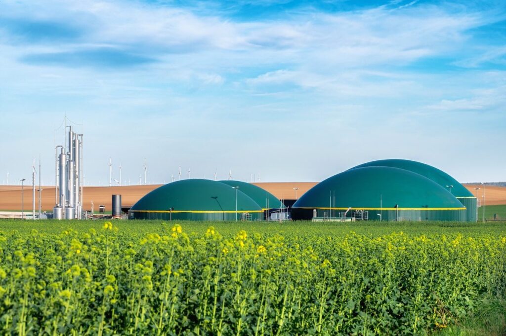 “Carbon Neutral” Is Costing Bioenergy the Climate Debate